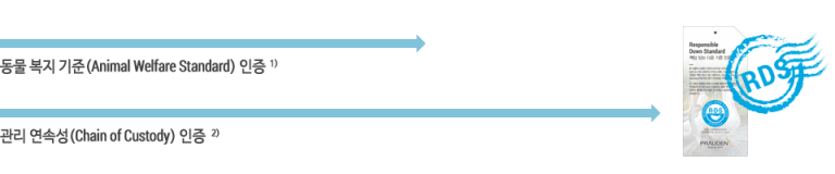 PRAUDEN | SUSTAINABLE FUTURE WITH PRAUDEN